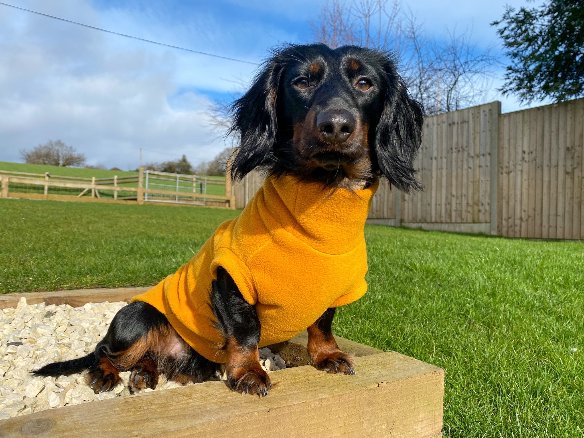 SIMPLY HUGO AND TED – Hugo and Ted