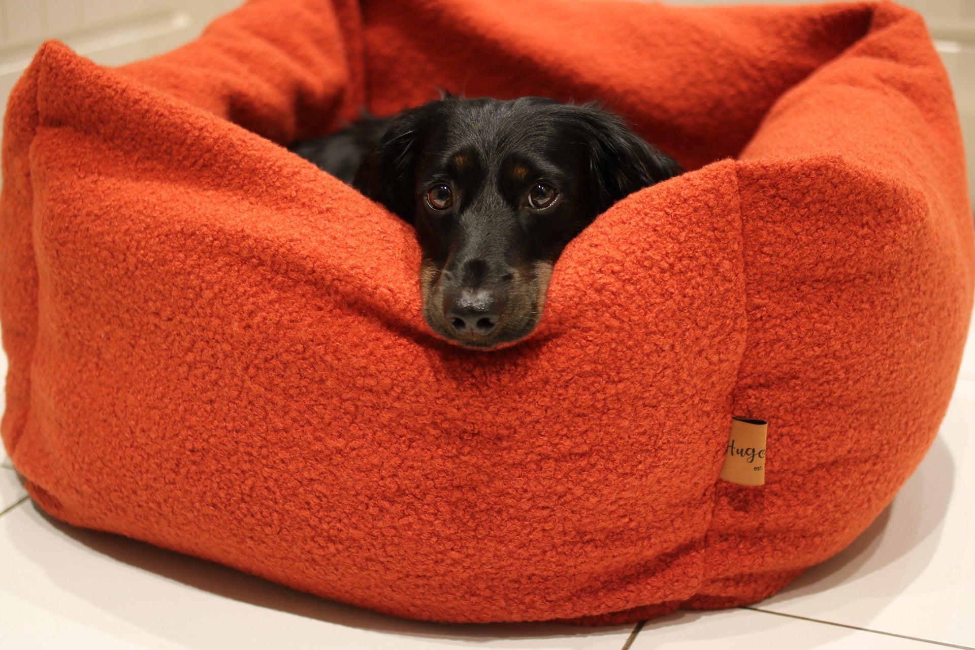 Comfy bed store store