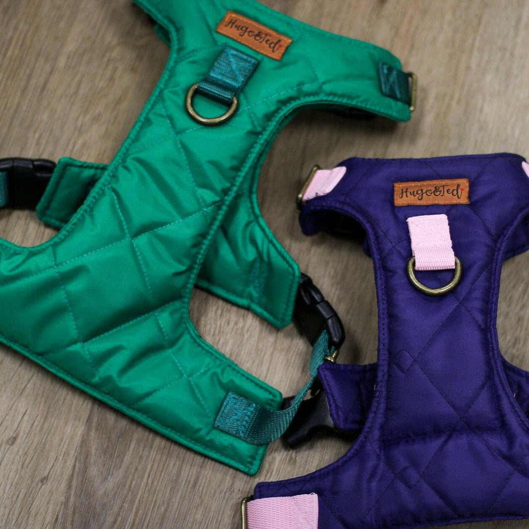 PERFECT FITTING DOG/PET HARNESSES – Hugo and Ted