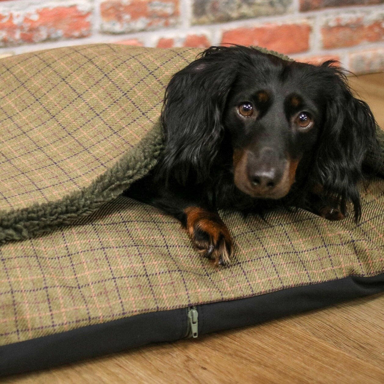 Heritage Collection Design-a-Den Dog Snuggle Beds – Hugo and Ted