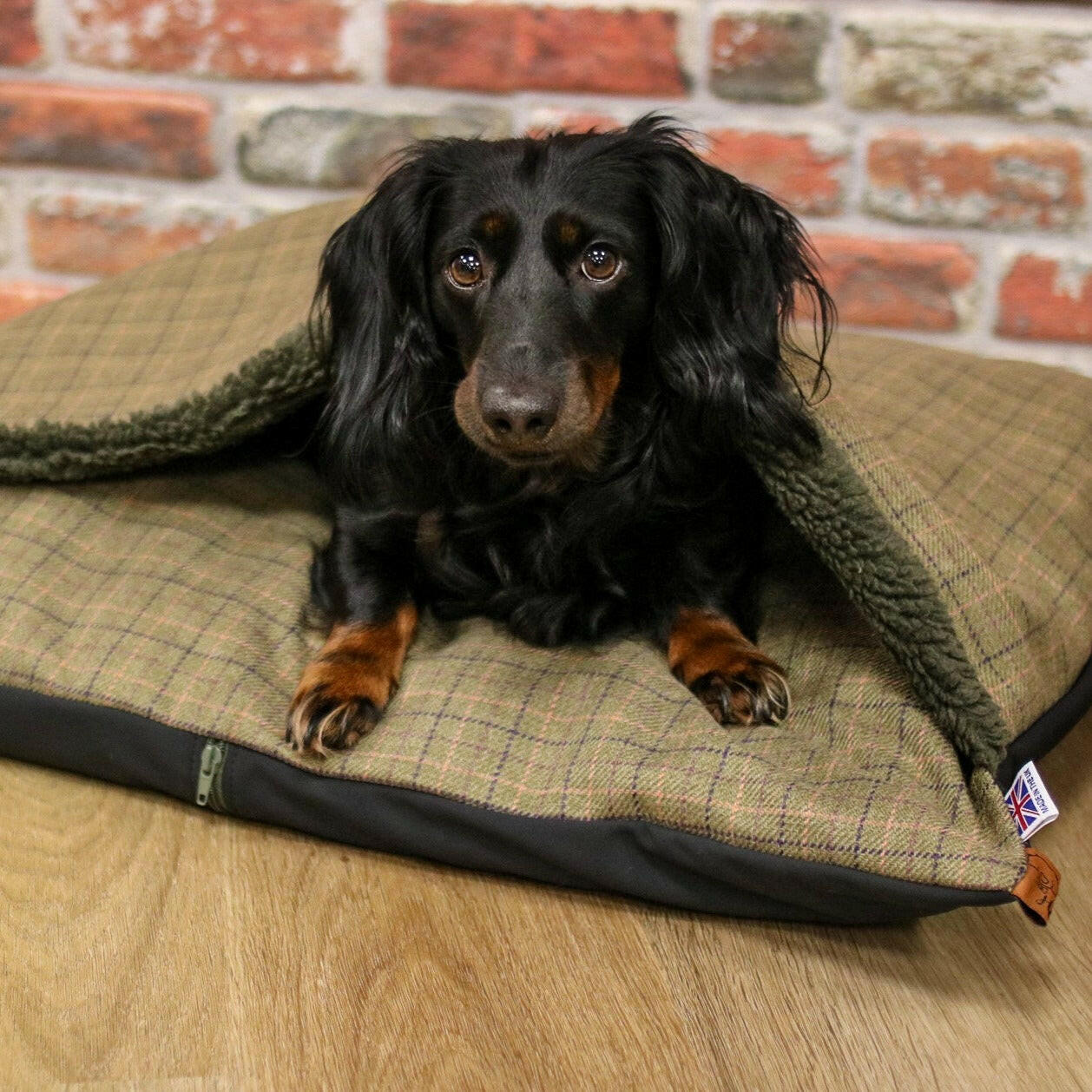 Heritage Collection Design-a-Den Dog Snuggle Beds – Hugo and Ted