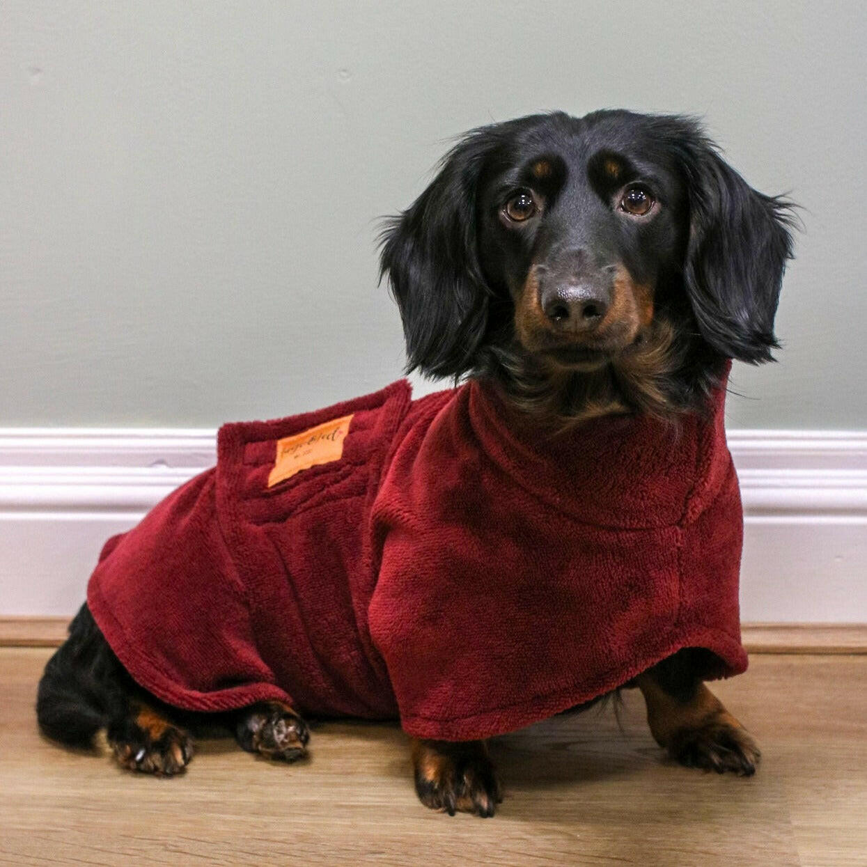 Luxury Bamboo Dog Drying Robe: The After Bath Essential – Hugo and Ted