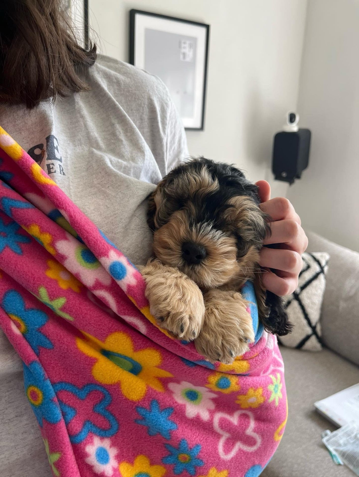 Patterned Fleece Dog Slings: The Best Way To Carry Your Pet – Hugo and Ted