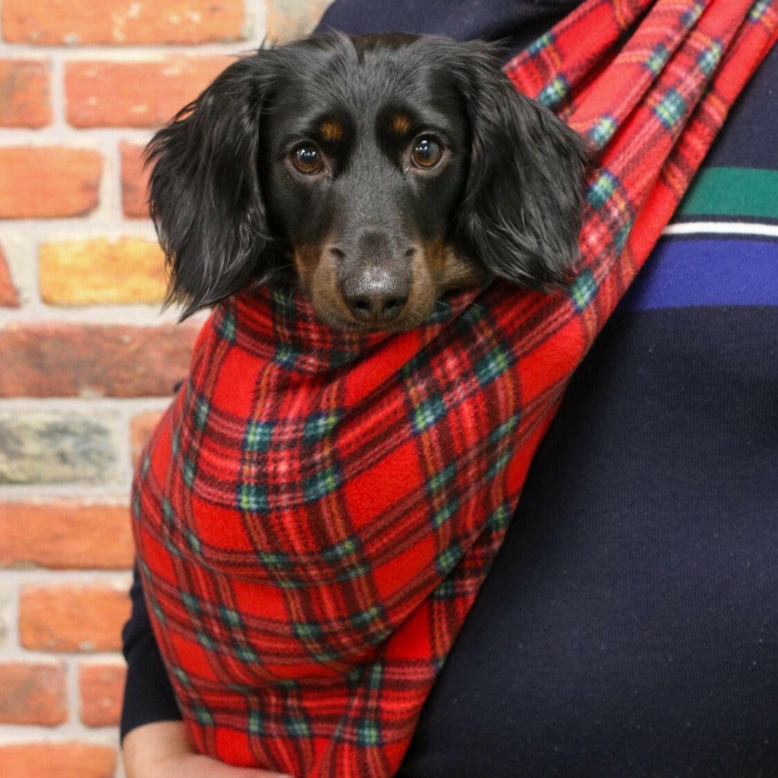 Patterned Fleece Dog Slings: The Best Way To Carry Your Pet – Hugo and Ted