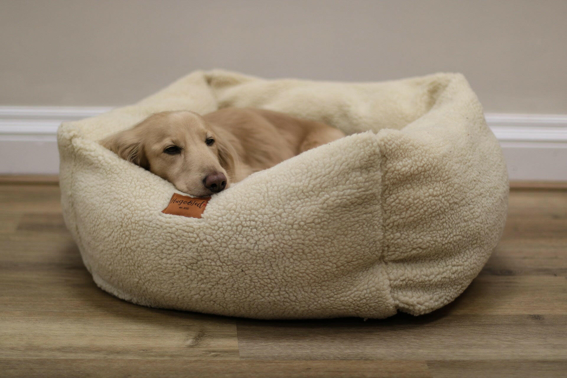 Teddy Box Beds: A Comfy Bed For Your Pet – Hugo and Ted